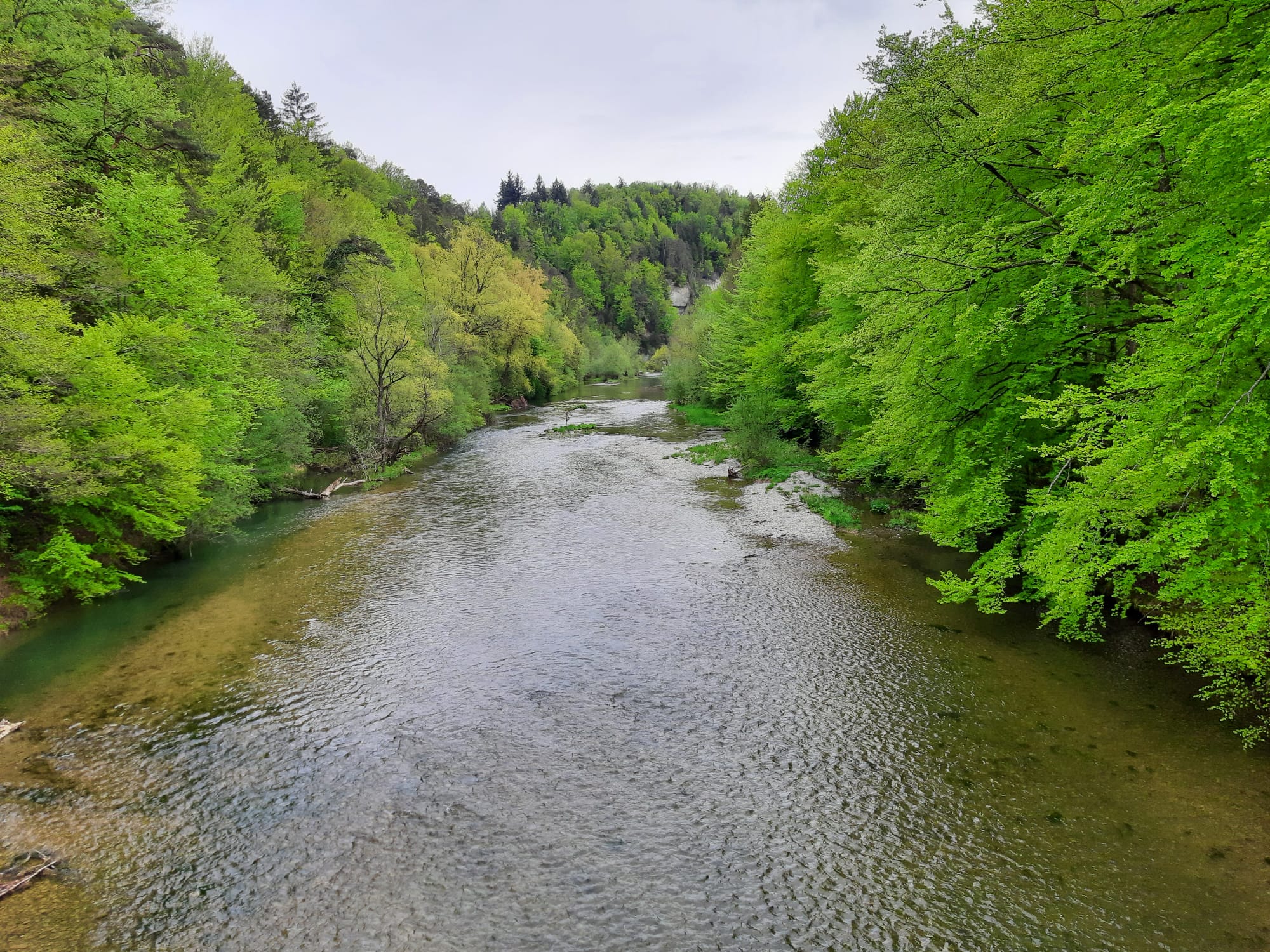 Sonntag, 6. Juni 2021: Stadt-Land-Flusswanderung um Freiburg – IWV Bern